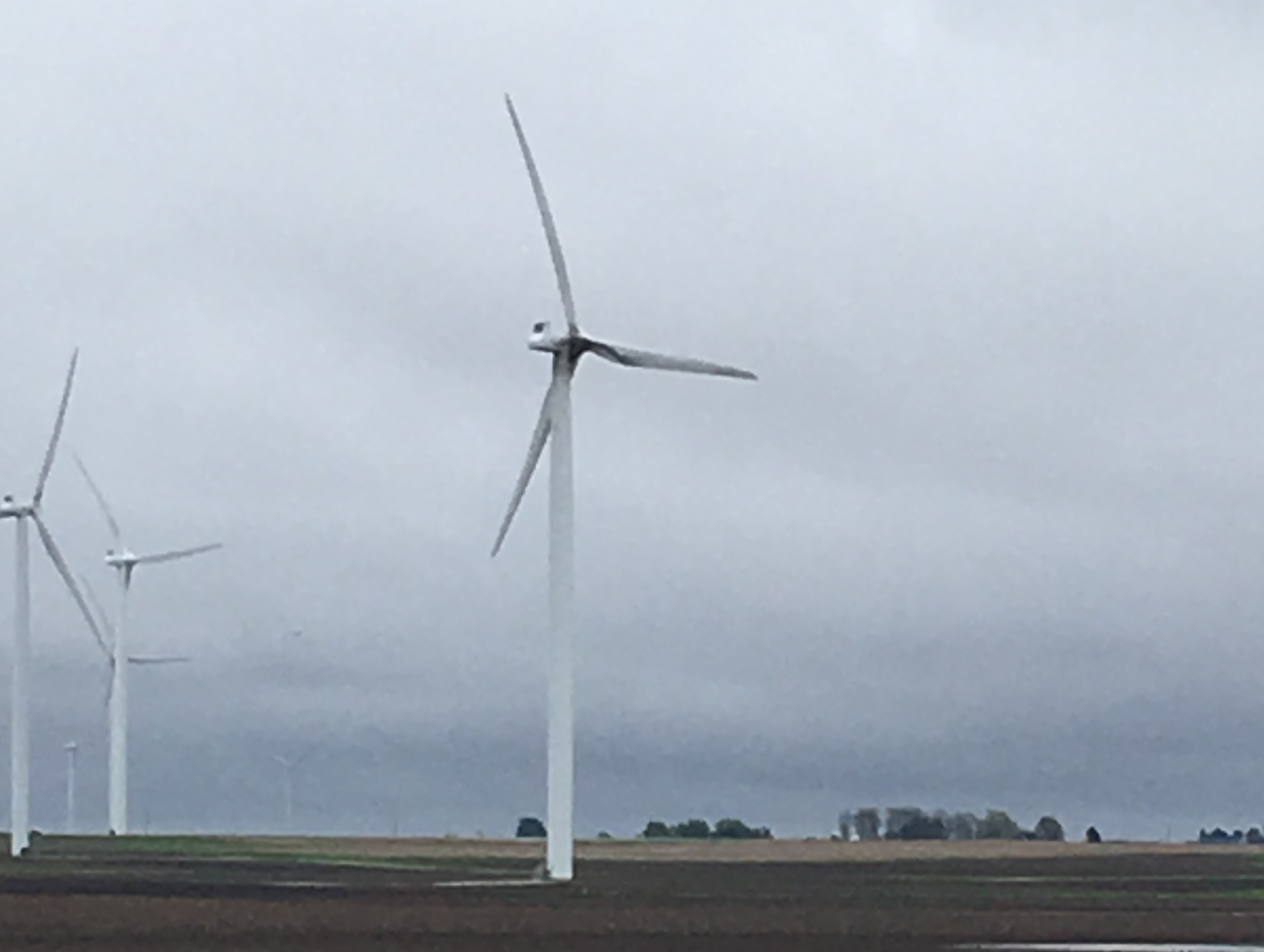 Not so GREEN – BlnNews
