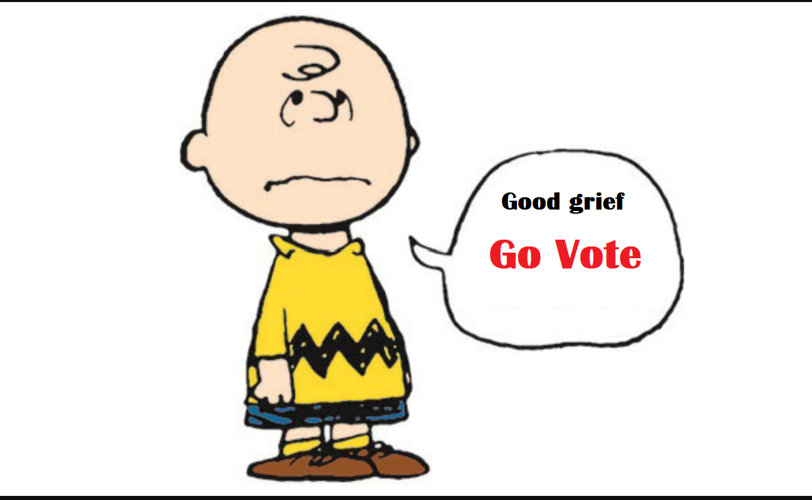 Who I would vote for – BlnNews